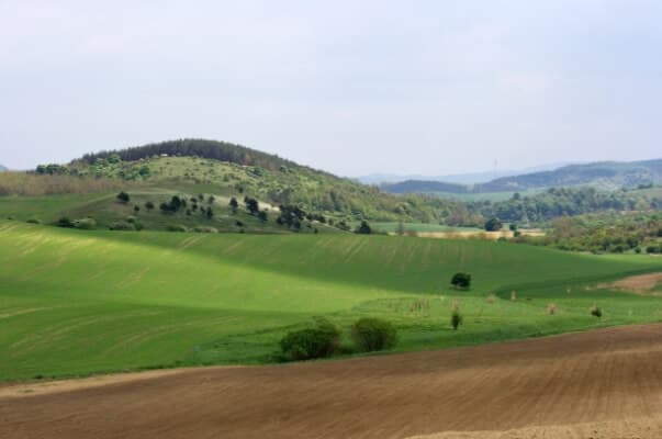 Hurley Real Estate & Auctions